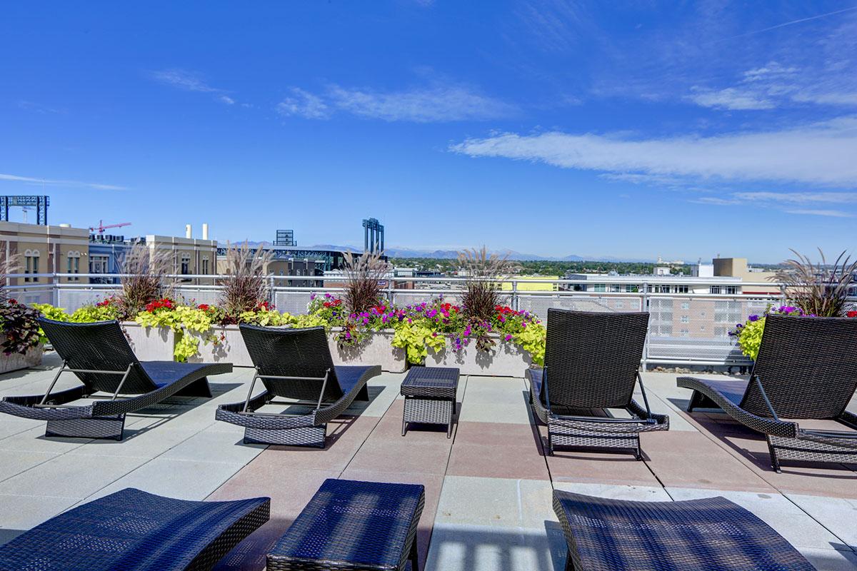 Premier Lofts - Photo Gallery