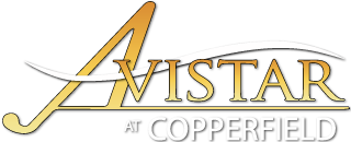 Avistar at Copperfield - Ebrochure