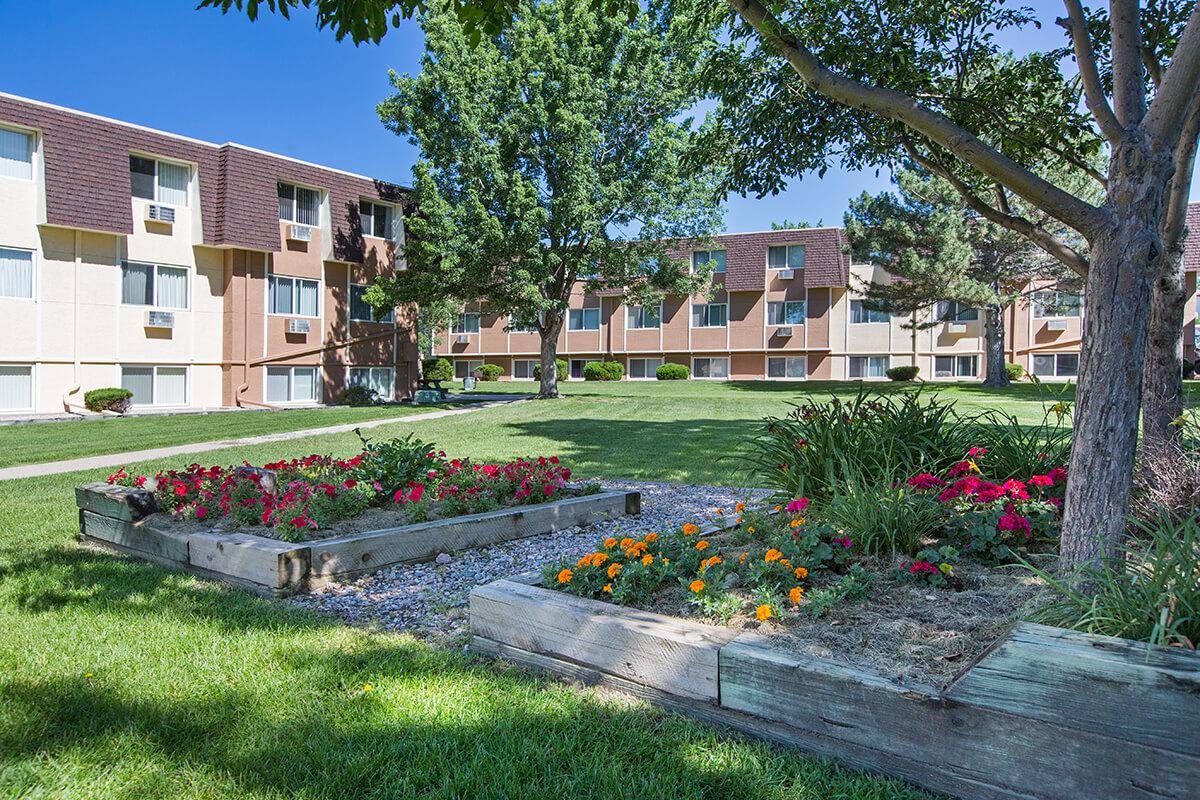 Pine Crest Apartments - Photo Gallery