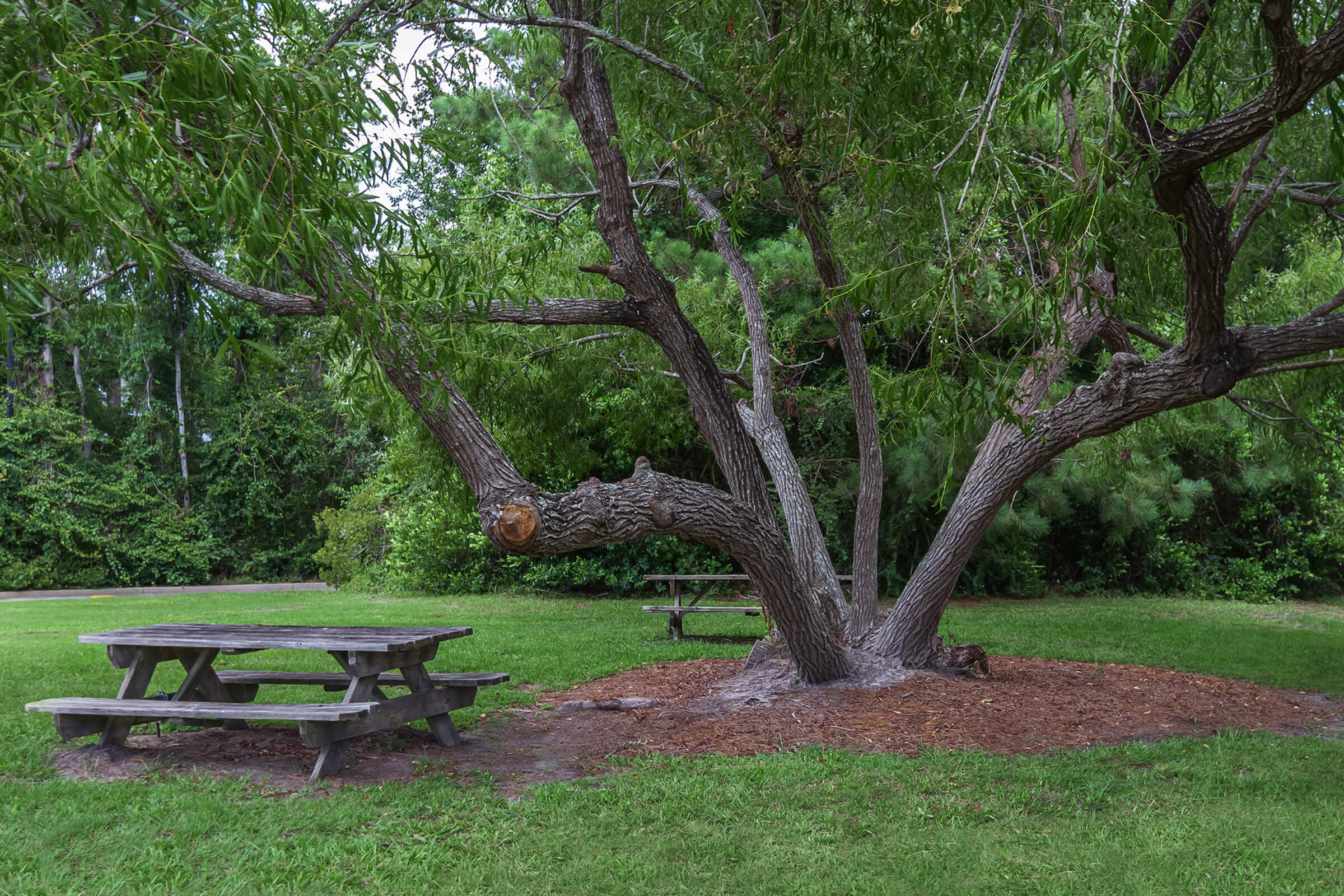 Tesla Park - Availability, Floor Plans & Pricing