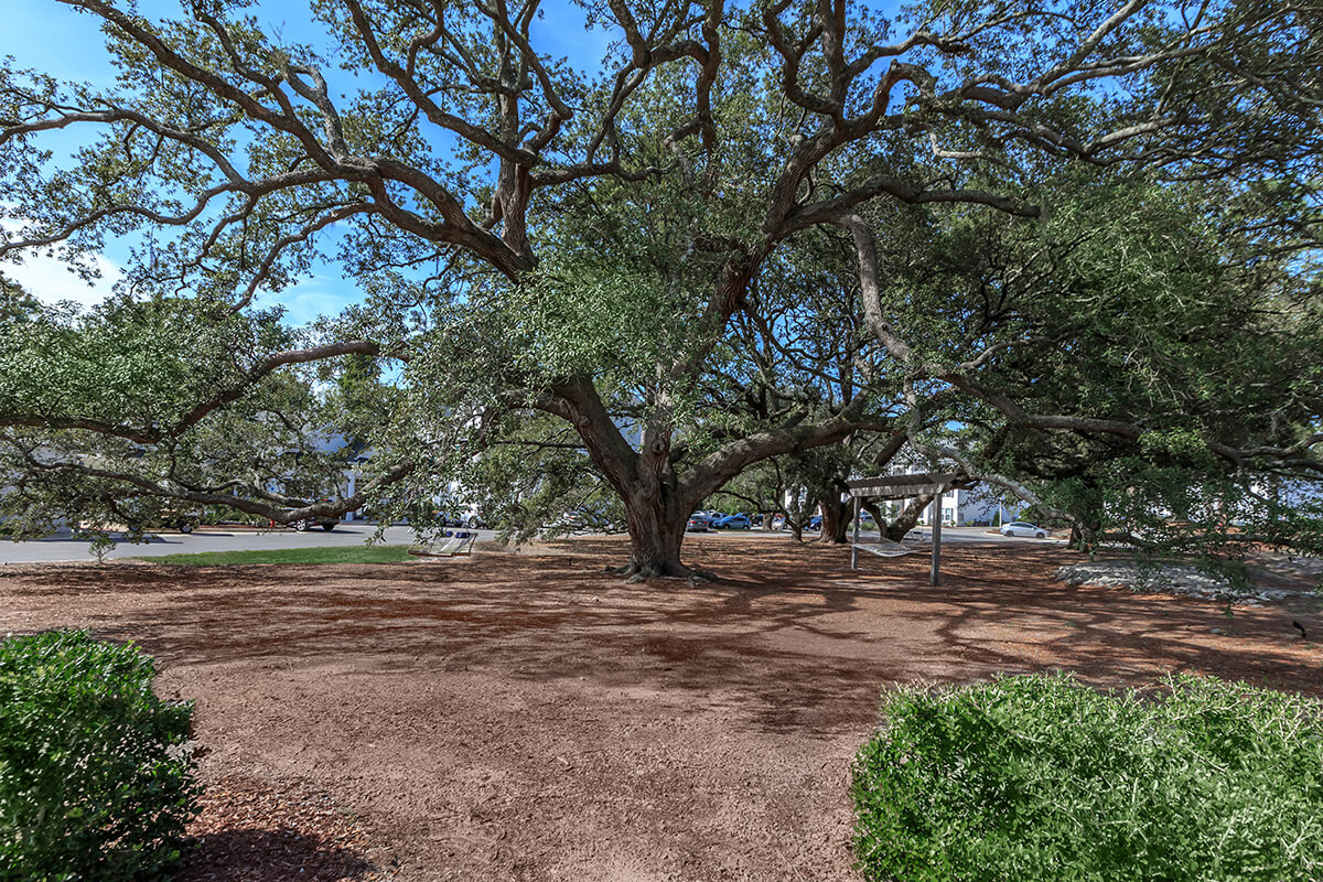 Arbor Trace - Amenities