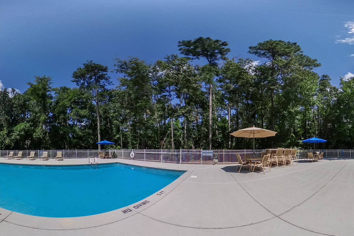 Tesla Park - Photo Gallery